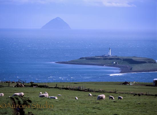 Northern Photo Gallery : Pladda Lighthouse,Isle of Arran, Scotland