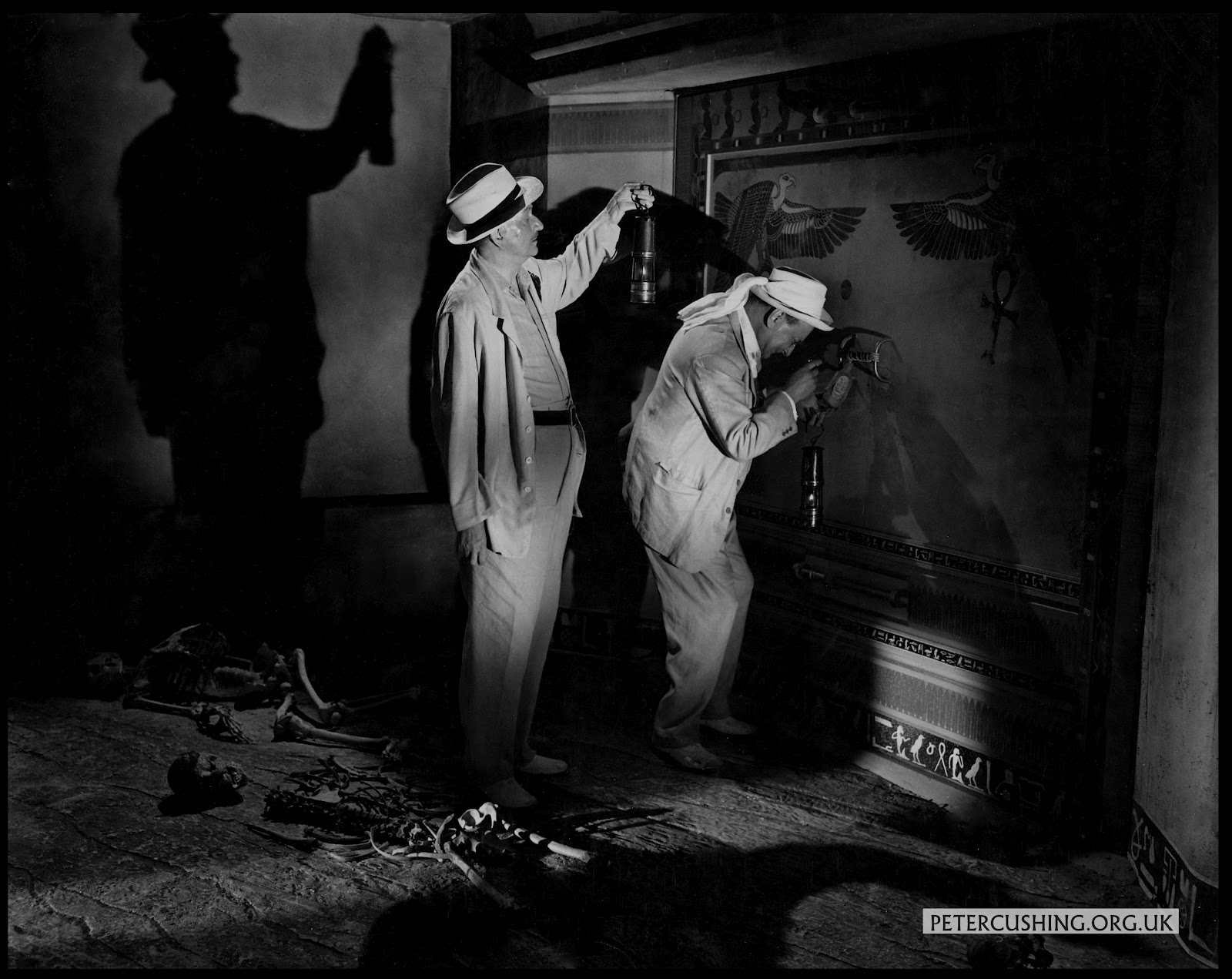 PETERCUSHINGBLOG.BLOGSPOT.COM (PCASUK): HAMMER FILMS PRODUCTIONS: 'THE ...