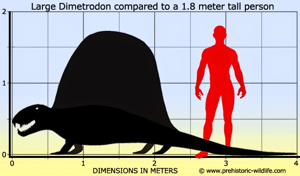 enciclopedia prehistorica: Dimetrodon el terror del permico
