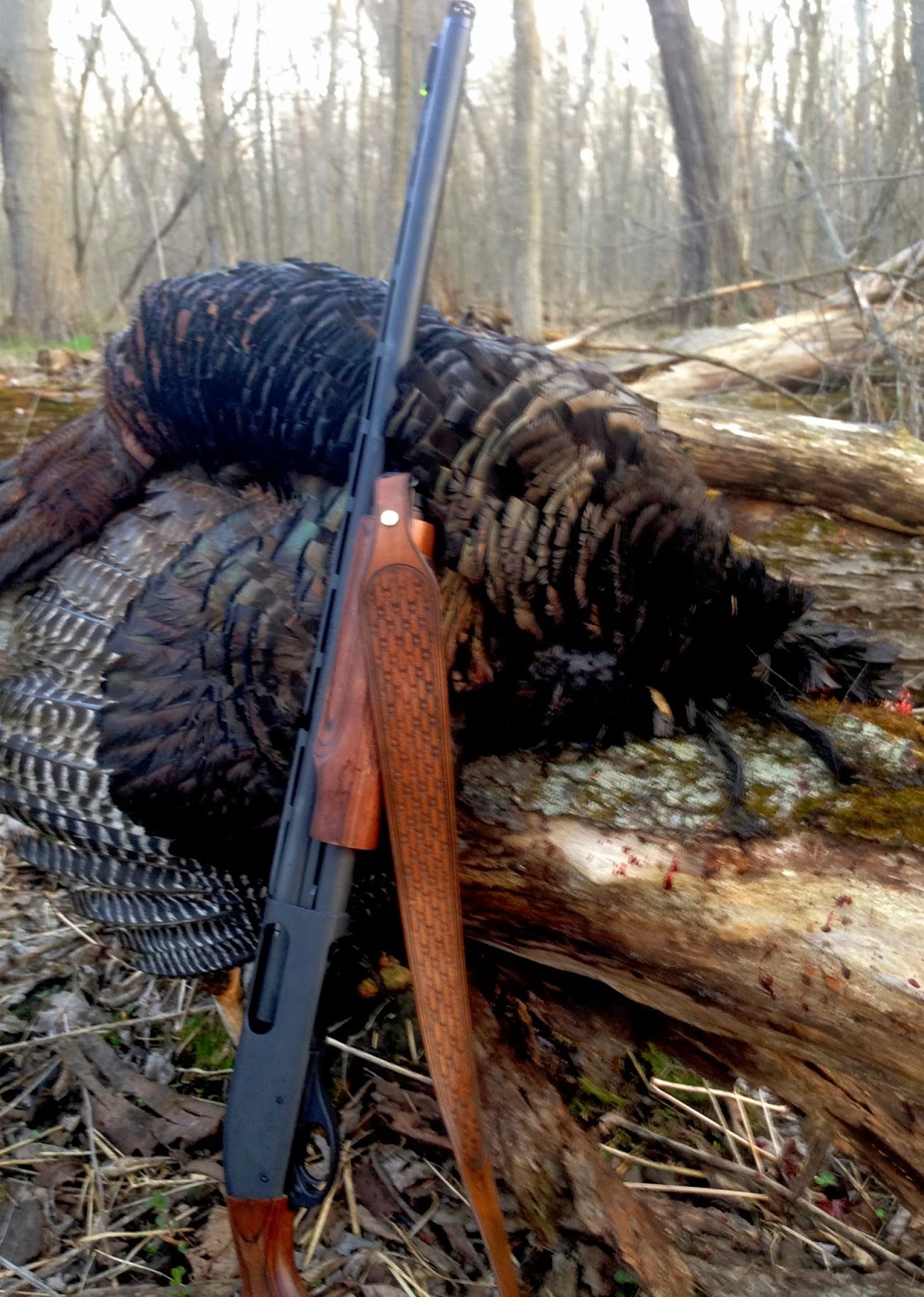 Troutrage: Spring Turkey Hunt