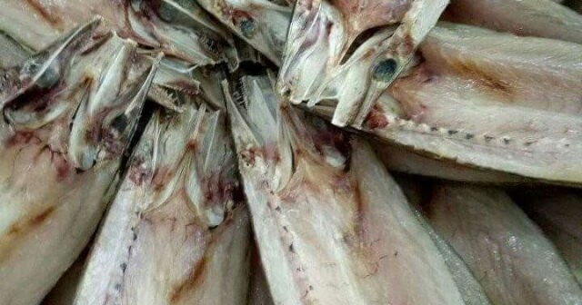 Dried Barracuda Fish Exporters