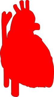 Craft Cutter Designs: Human Heart SVG Craft Cutter File