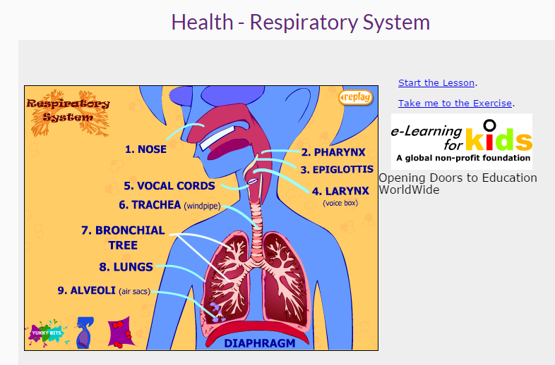 Blog de Science - Sexto de Primaria: enero 2017
