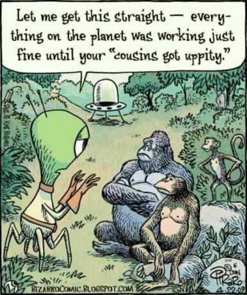 Nick's Bytes: Friday Funnies (Graphic Humor)