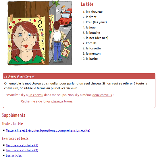 FLE en ESO: Le corps humain : vocabulaire