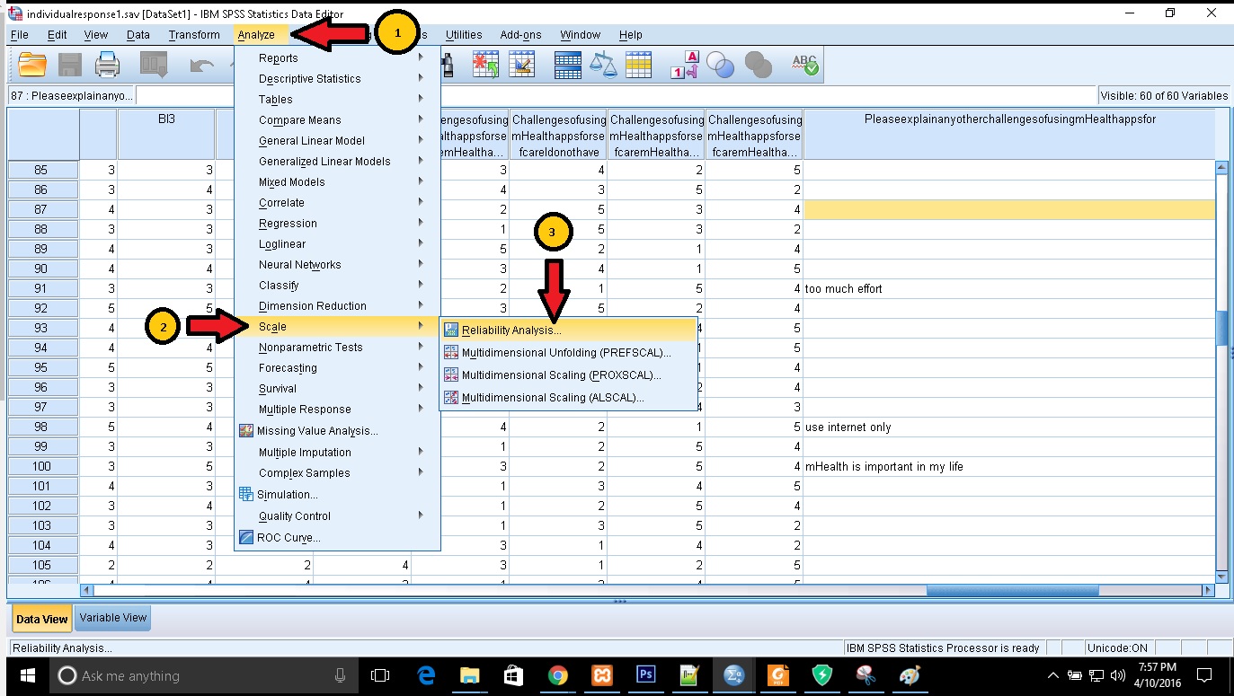 SPSS-Cronbach's Alpha Reliability Test ~ Lets go crazy!