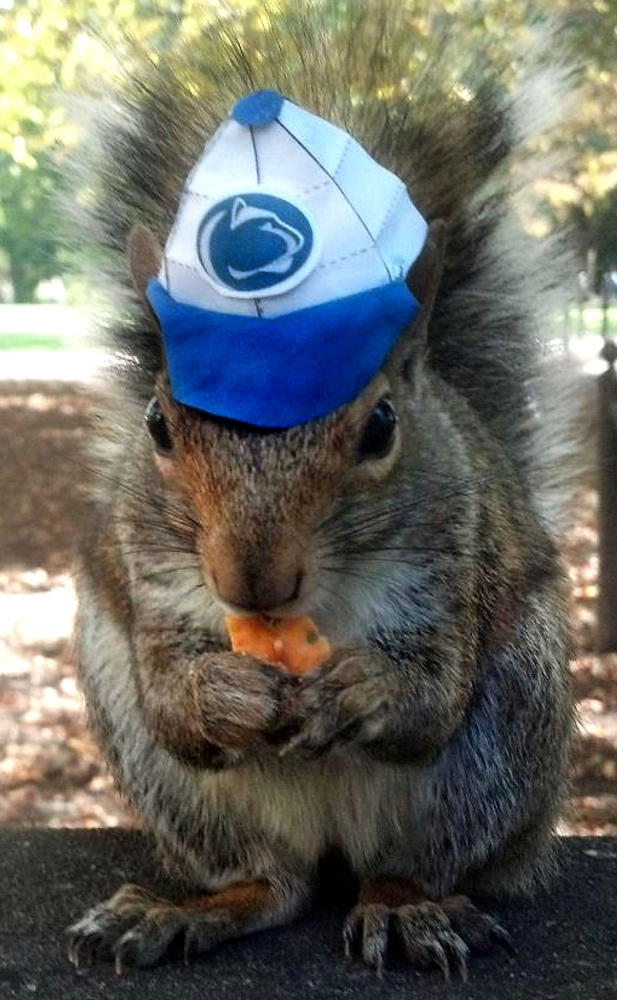 The News For Squirrels: The Squirrel Whisperer