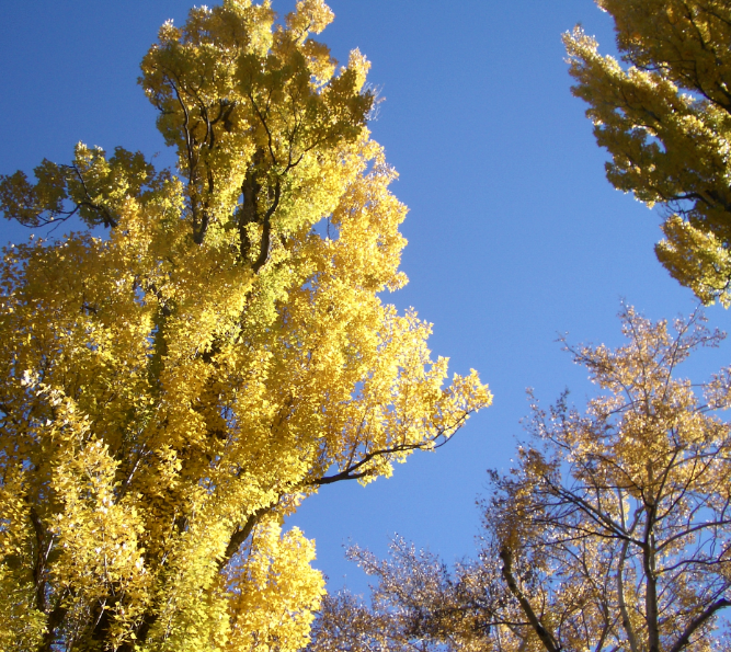Reflections of a Rural Social Worker: Autumn