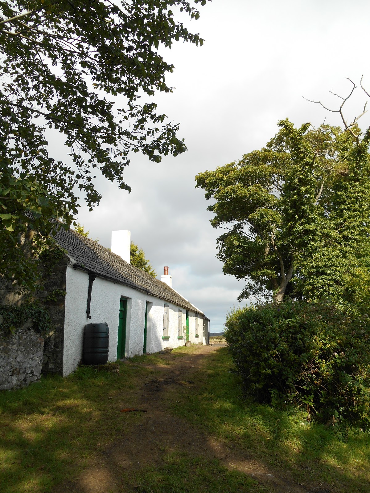 A lifetime of Islands: Island 285 - Mid Island, Strangford Lough ...