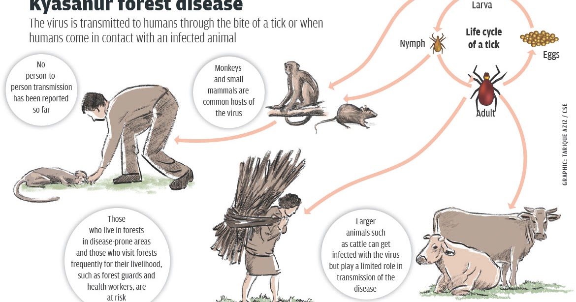Epidemiology, Pathogenesis, and Control of a Tick-Borne Disease ...