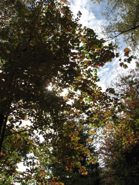 Red Rocks Park -South Burlington, Vermont | Litter with a Story To Tell