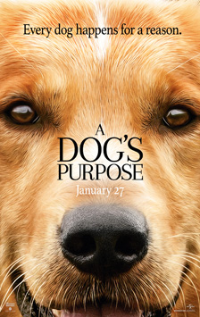 A Dog's Purpose script pdf - Screenplay Pdf