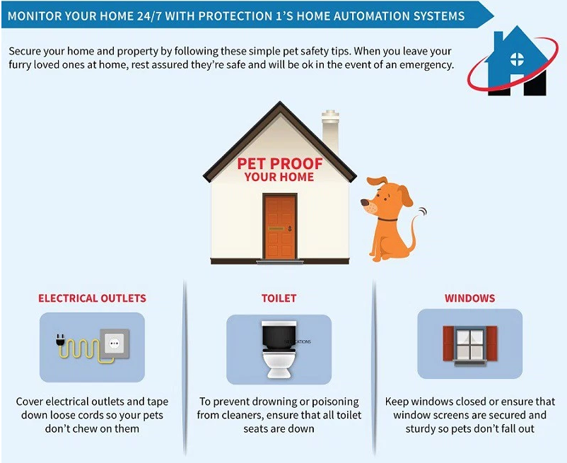 Protect Your Pets Safety - Ring Dog Rescue