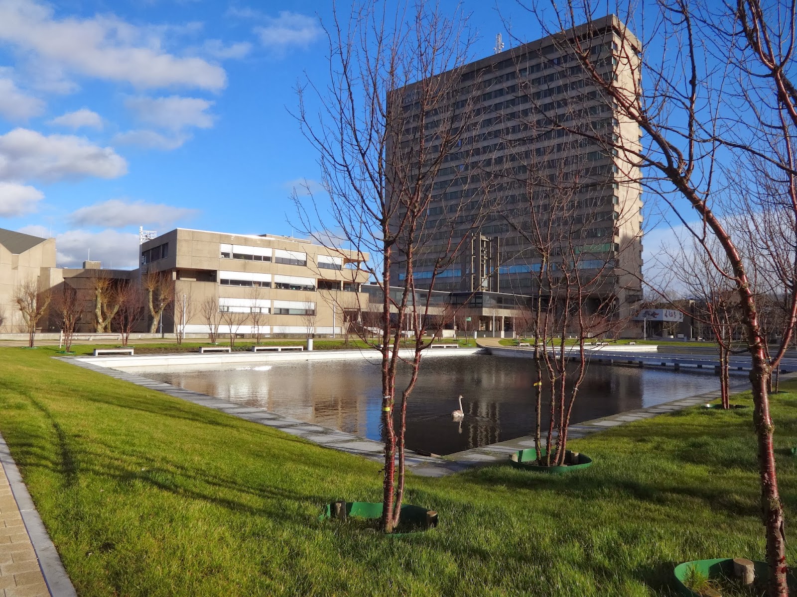 Day #3 Rotterdam ; Old vs Modern - Kiki's Notes