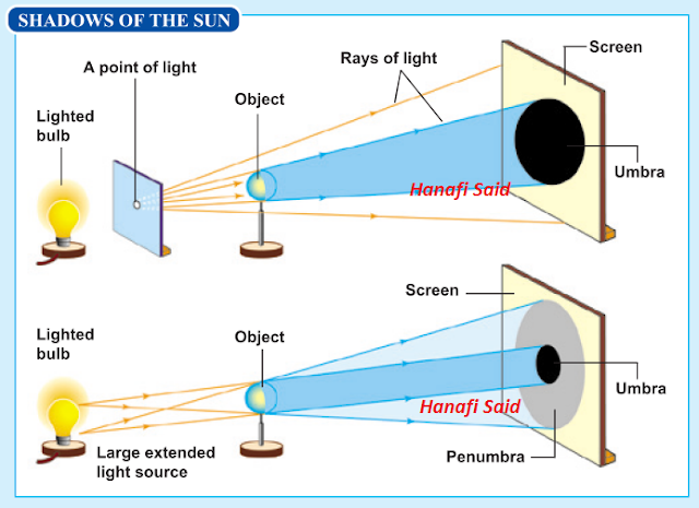 Face Bio Na-P67: 31-Jan-2012