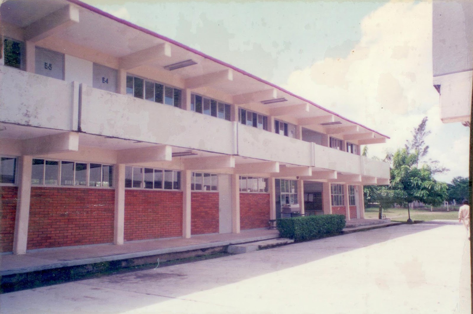 Mi blog "CONALEP": Conalep 165