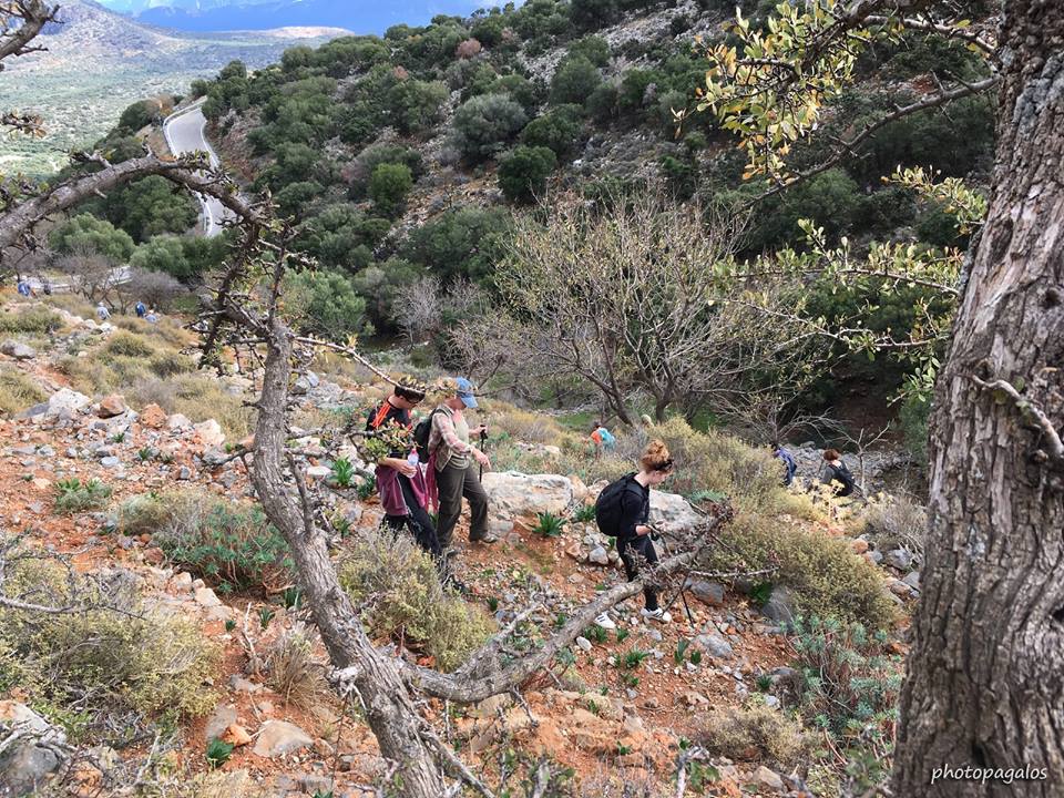 EXPLORE MOUNTAINS: ΣΤΟ ΚΑΛΝΤΕΡΙΜΙ : ΟΡΟΠΕΔΙΟ ΚΑΘΑΡΟΥ-ΚΡΙΤΣΑ