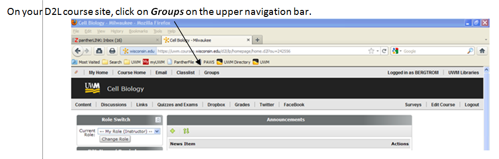 D2L Tips and Tricks (version 9.x): Creating Small Groups and Small Group Restrictions for ...
