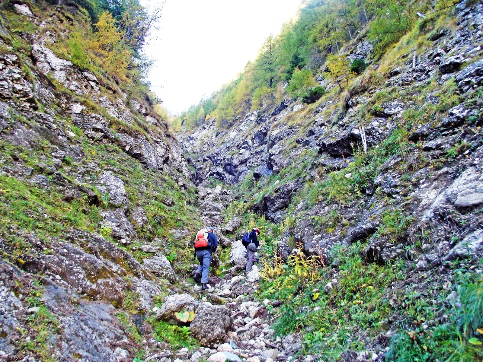 Blog de Calatorii si Drumetii Montane.: BUCEGI (Valea Seaca dintre Clai ...