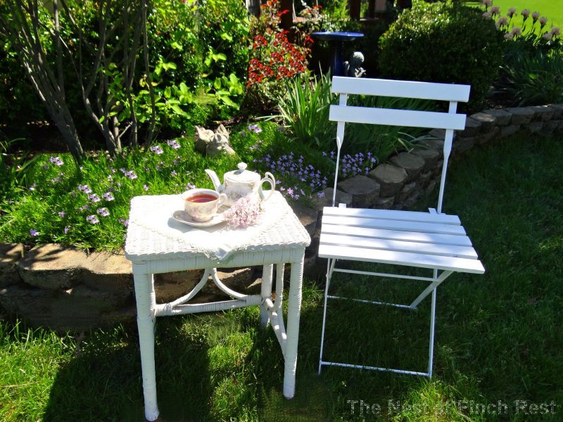 The Nest at Finch Rest: Tea Moment in the Garden's Shade