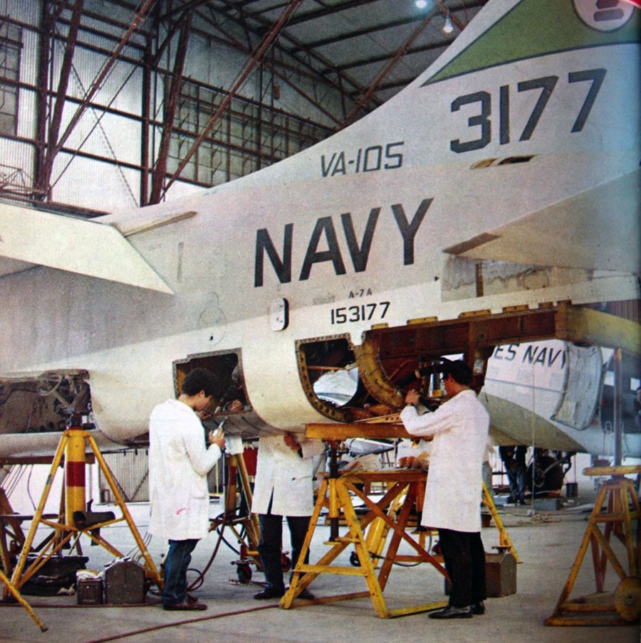 FEET DRY (M471-1CG/2011) ~ PÁSSARO DE FERRO