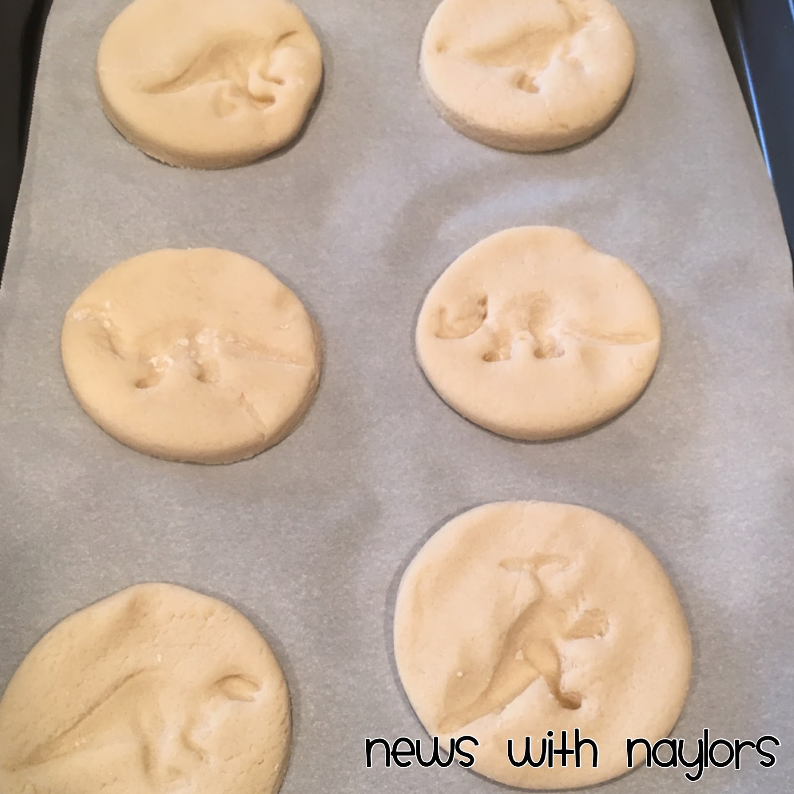 Homemade Dinosaur Fossils