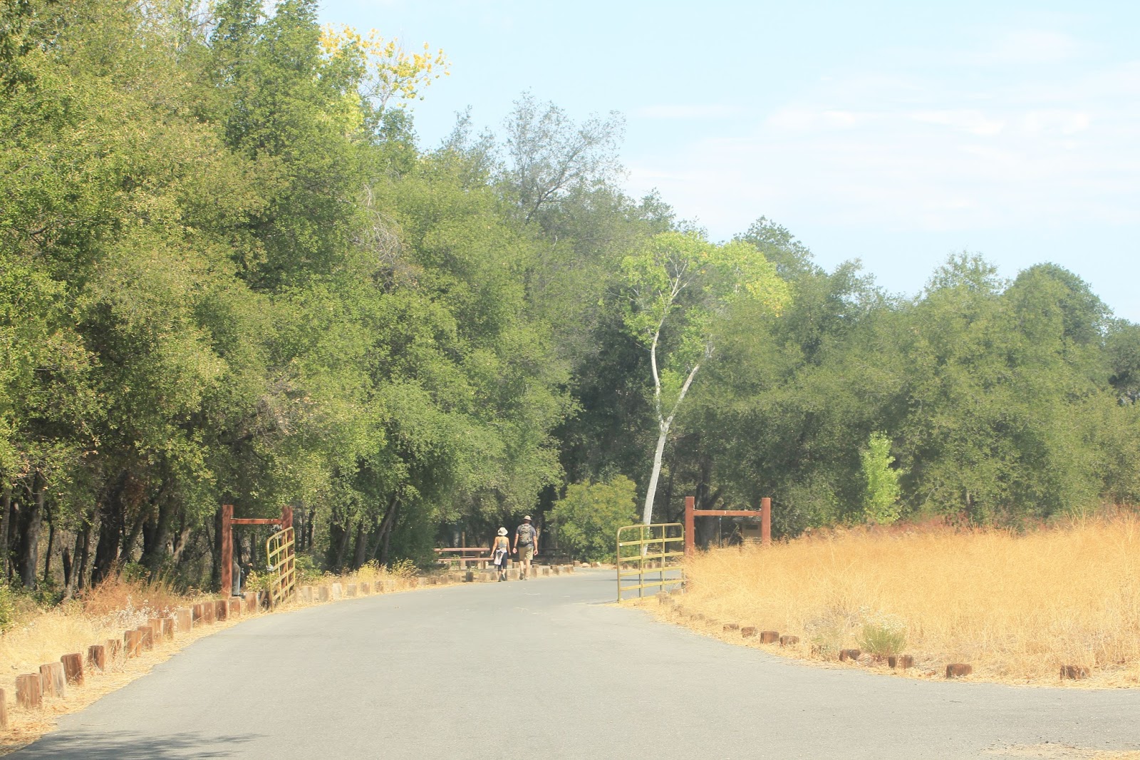 Western Sojourns: Travels with Camissonia: DRIPPING SPRINGS CAMPGROUND ...