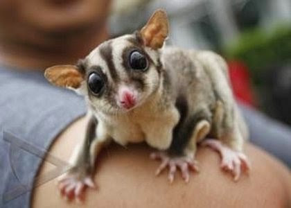 STRANGE FACTS WORLD WIDE (SHOCKING & PARANORMAL ACTIVITIES): STRANGE ...