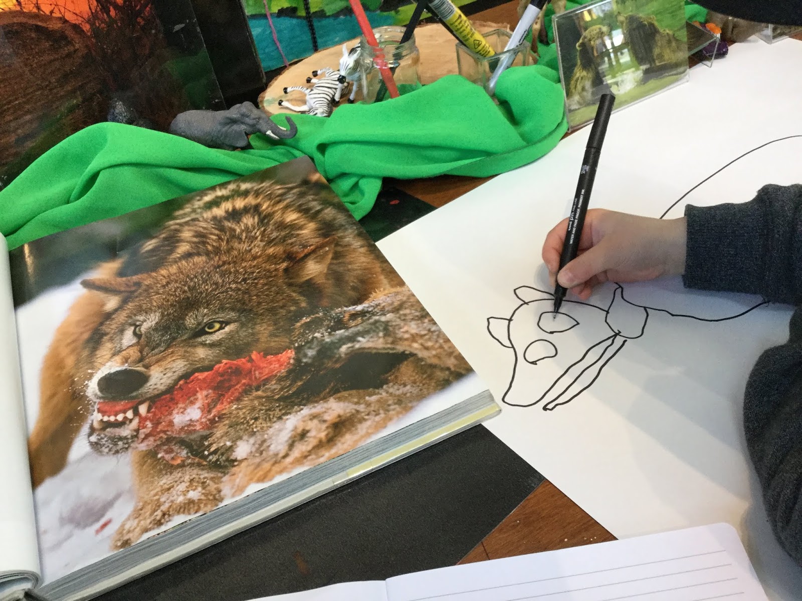 Mairtown Kindergarten: Children's inquiry into endangered animals.