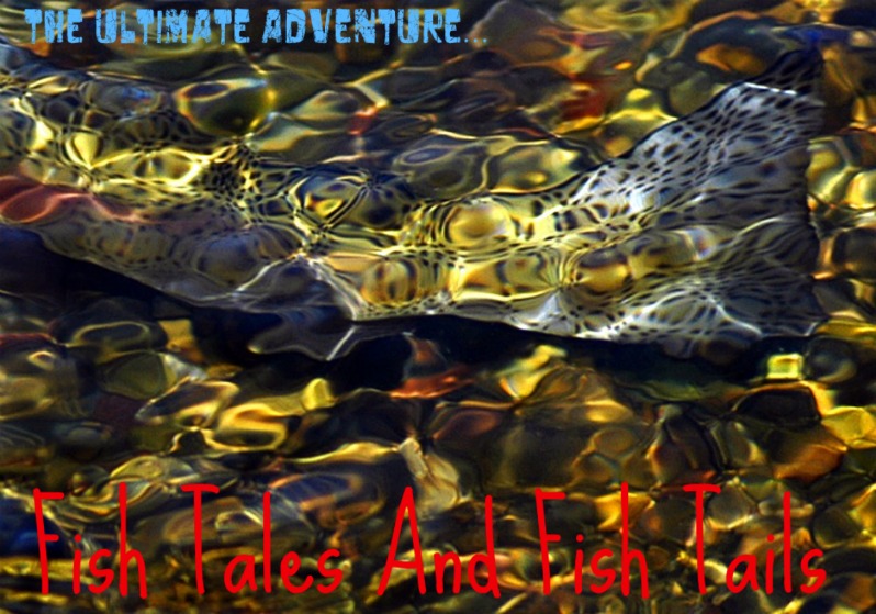 Fish Tales And Fish Tails: Fish... Off?
