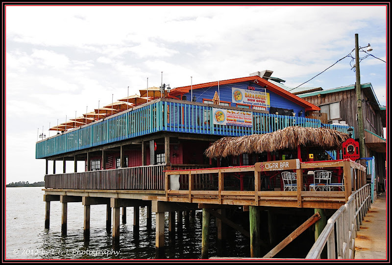 Cedar Key (Florida) Photos: The Pickled Pelican...