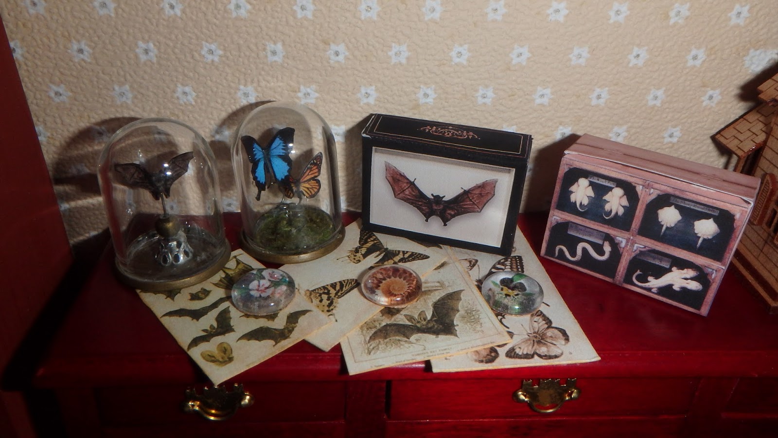 Musings and crafting: Kassandra's Victorian hobbies