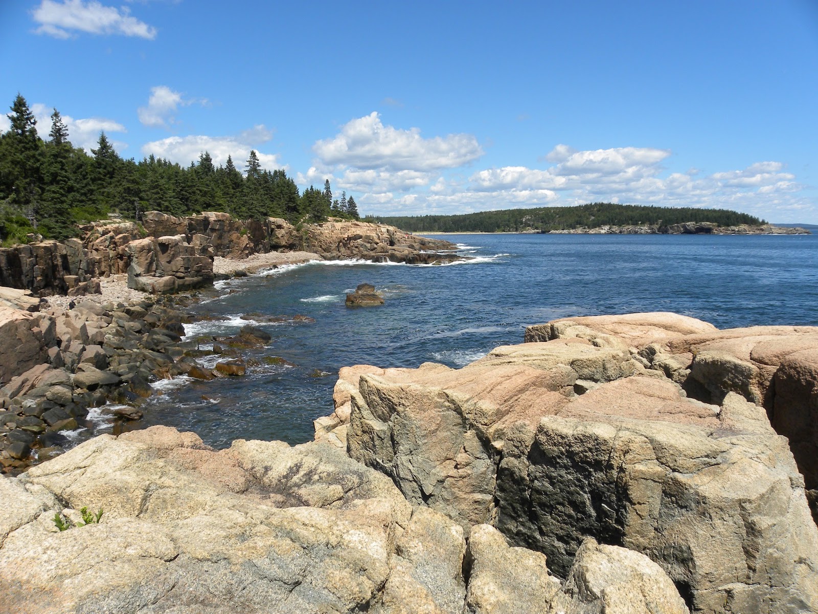 Family Adventures: Acadia Coastline