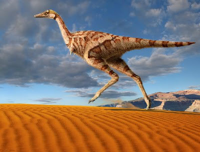 Linhenykus monodactylus | Dinos Tephix