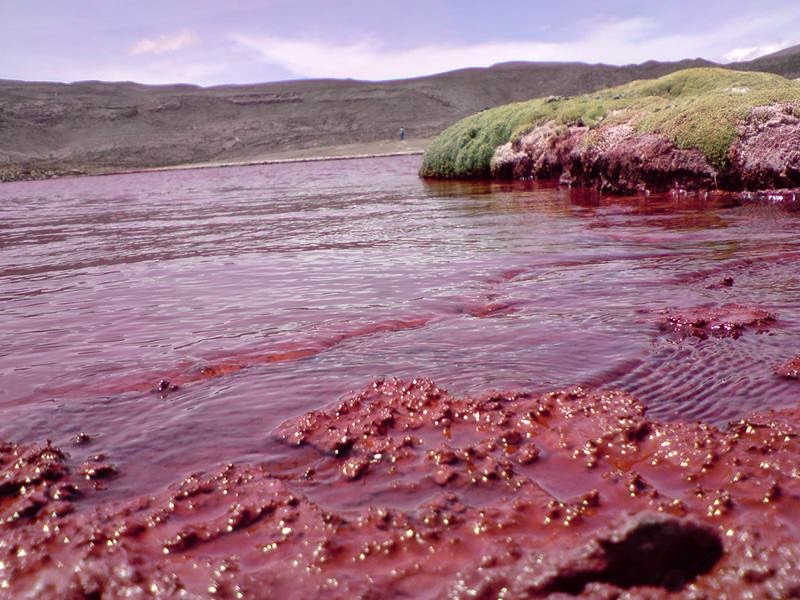 The Red Lagoon Camiña, Chile