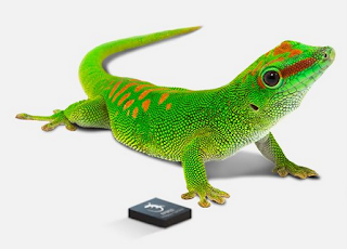 Mikrokontrolery ARM: Tiny Gecko 11 - perełka z rdzeniem ARM Cortex M0 ...