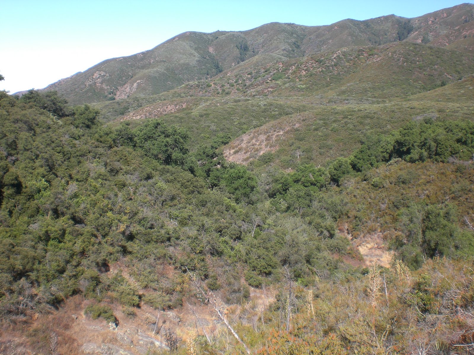 aarons mountain adventures: Santa Ana Mountains