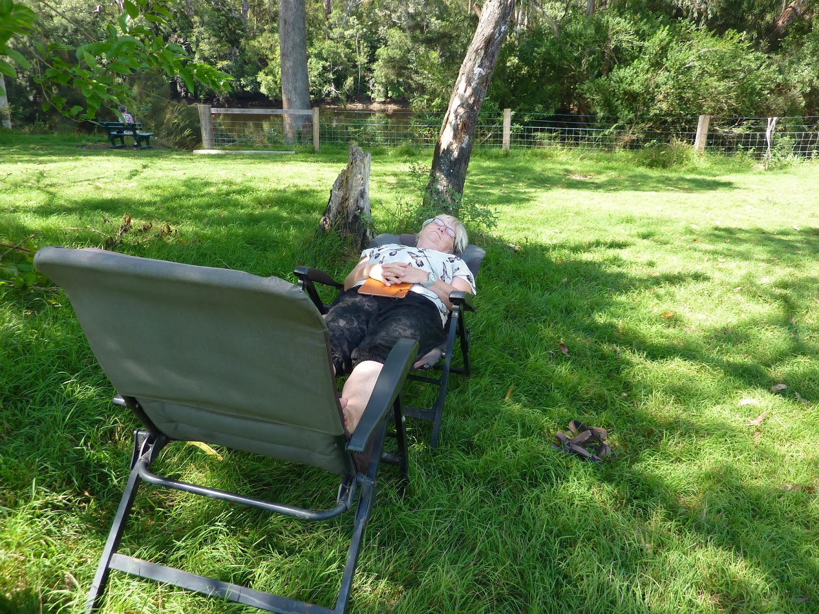 Douglas Walkabout - 2010 and 2014: From Kangaroo Valley to Shallow ...