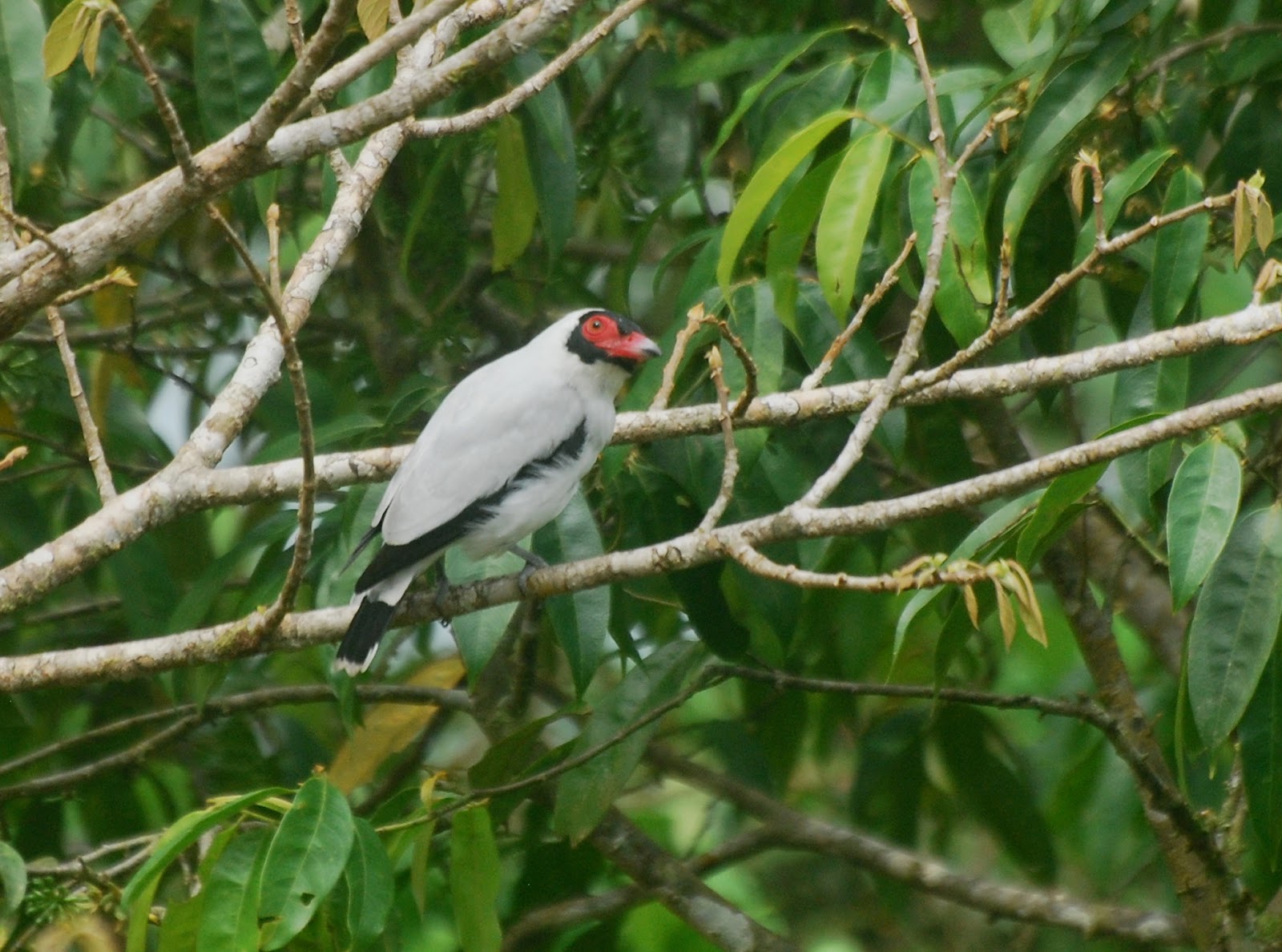 Jan Axel's Blog: March 2013