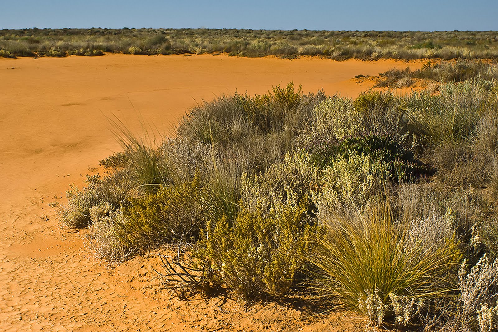 BigRedBusTouringCo.com: Moorook to Perry Sand Dunes