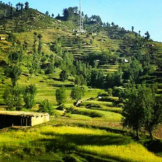 Buner District