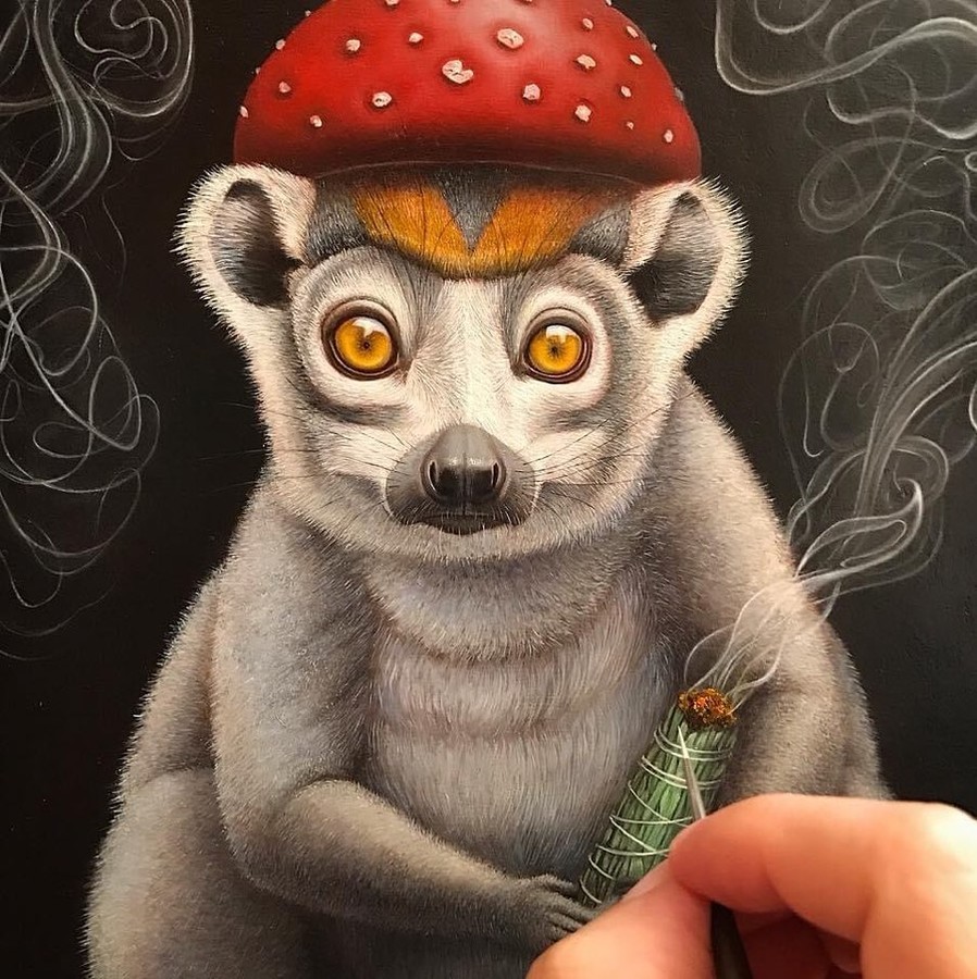 Design Stack: A Blog about Art, Design and Architecture: Sweet Creature ...