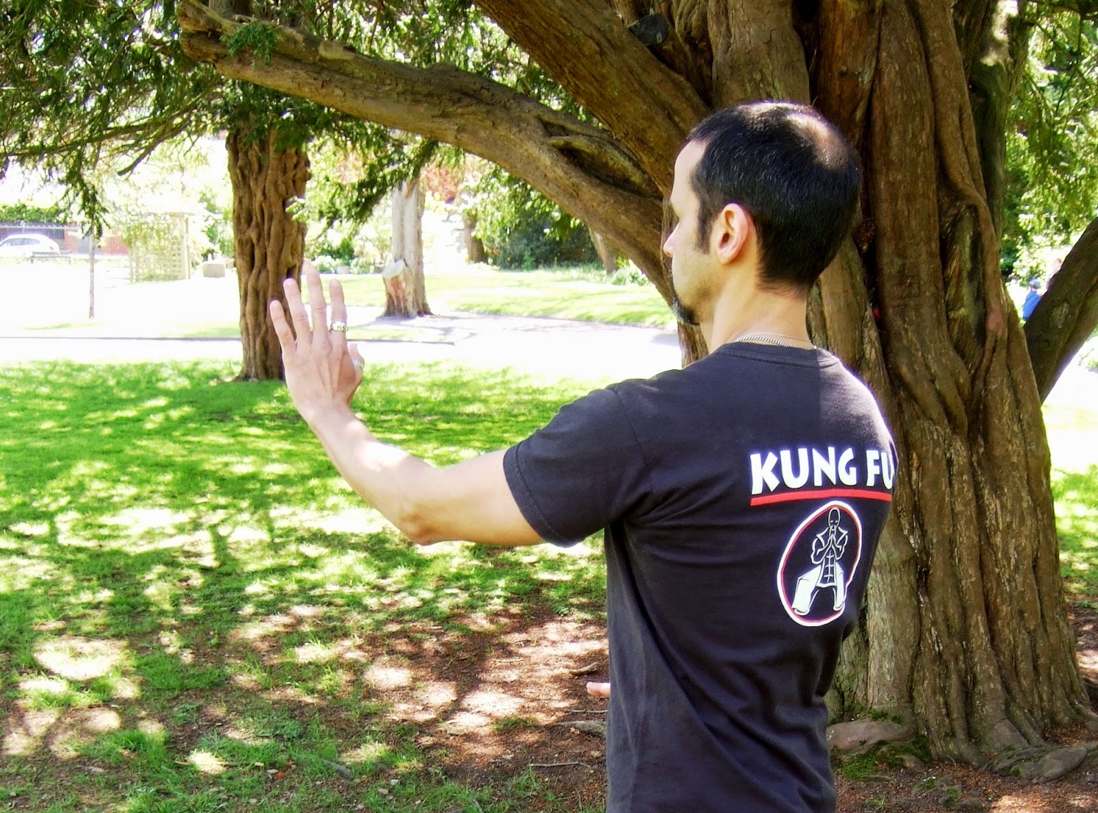 KUNG FU & TAI CHI CHUAN - IRELAND: Health and Well Being - Kung Fu, Tai ...