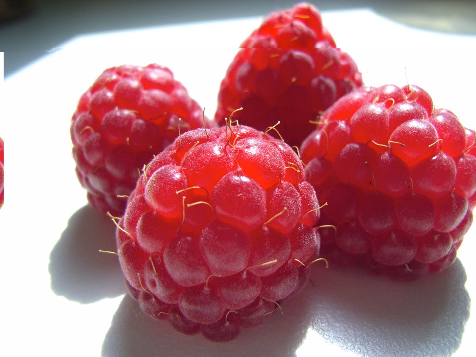Bilder-Bibliothek: Himbeeren - Nahaufnahmen, Großaufnahmen