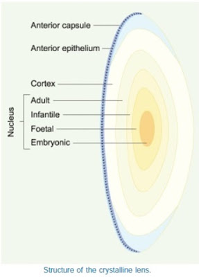Medical Stuff: Lensa Mata dan Katarak
