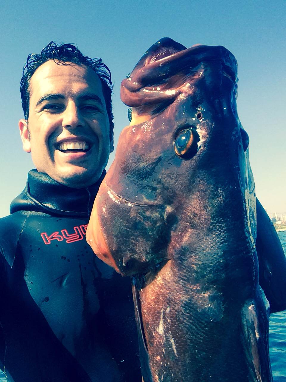 Disfrutando de la pesca submarina: MERO DE ESCOLLERA