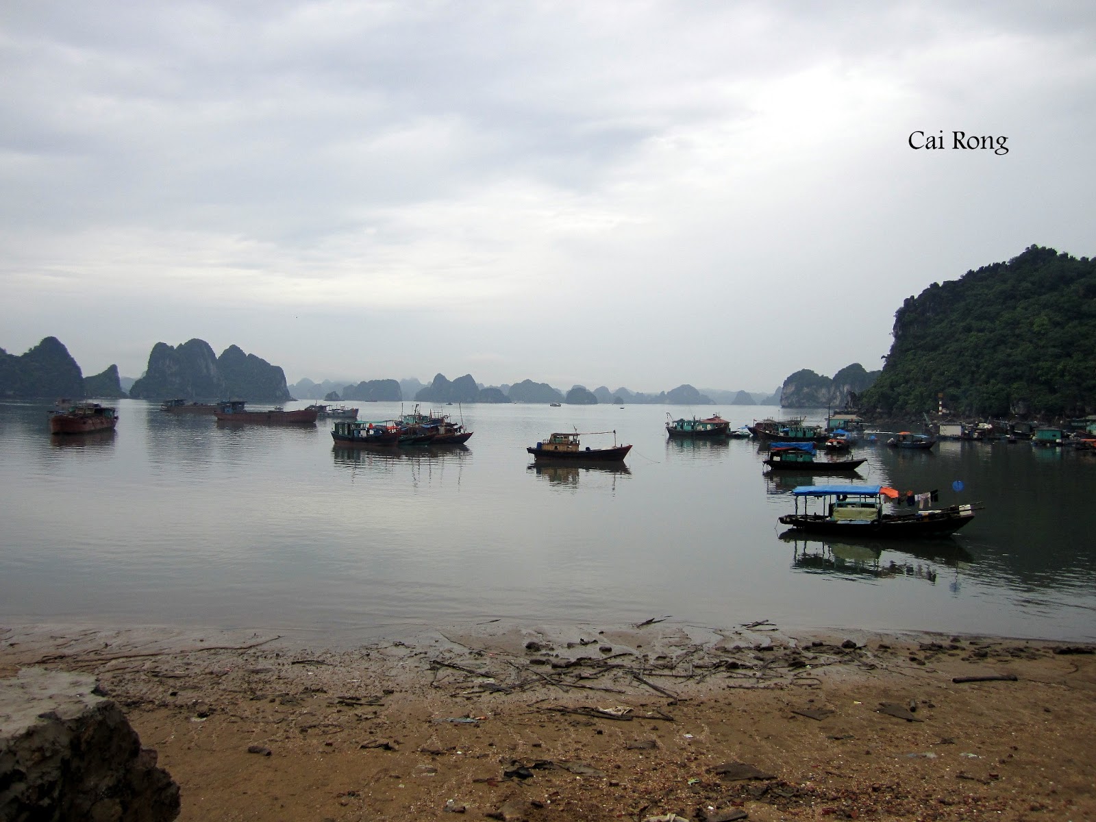 OPINIONES Y HECHOS: CÂI RONG Y QUAN LAN (V) VIETNAM EN ETAPAS