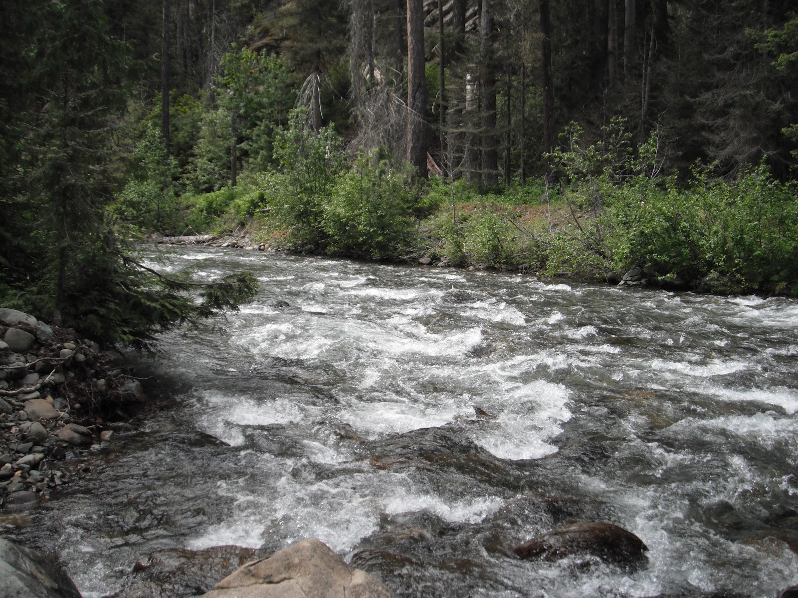 Where I have Fished: Teanaway River, WA