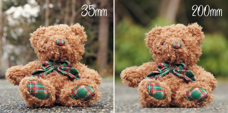 Sereina Charise Photography: Shutter Skills: Depth of Field