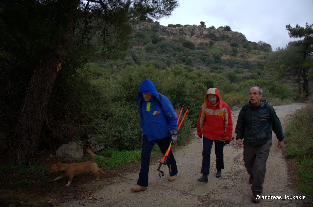 EXPLORE MOUNTAINS: ΠΕΖΟΠΟΡΙΑ ΜΕΣΕΛΕΡΟΙ - ΜΟΝΗ ΒΡΥΩΜΕΝΟΥ